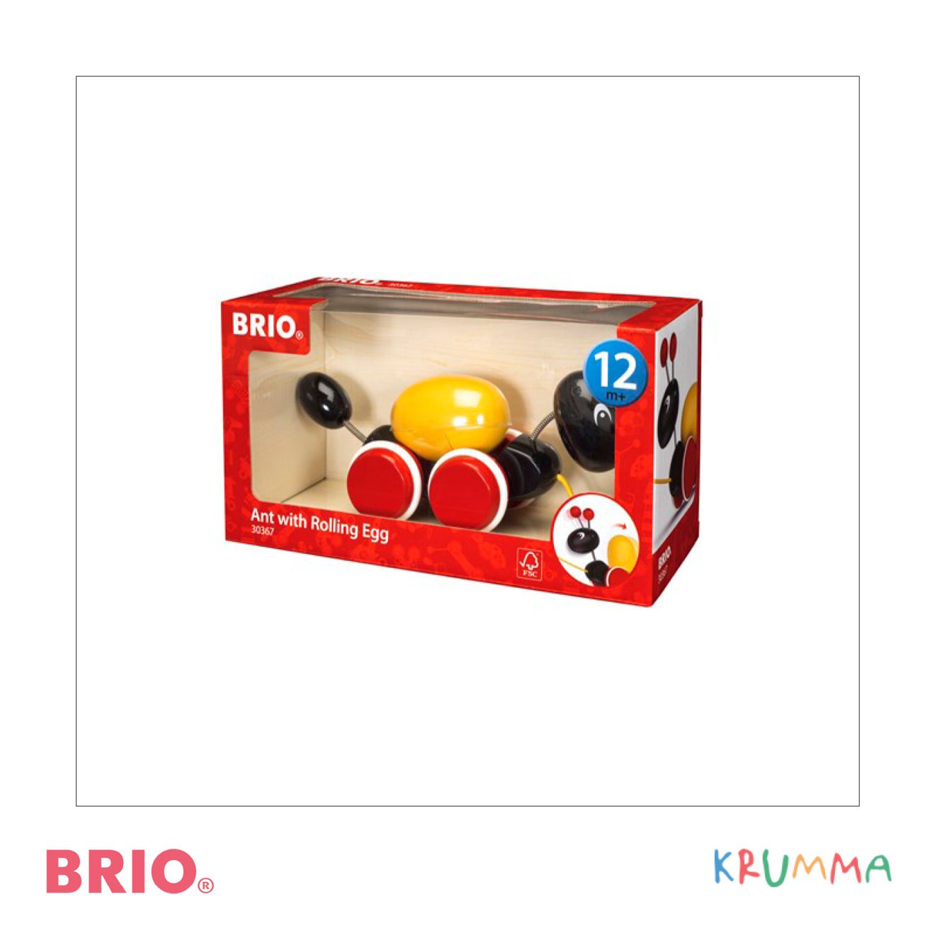 BRIO Ant With Rolling Egg - KRUMMA